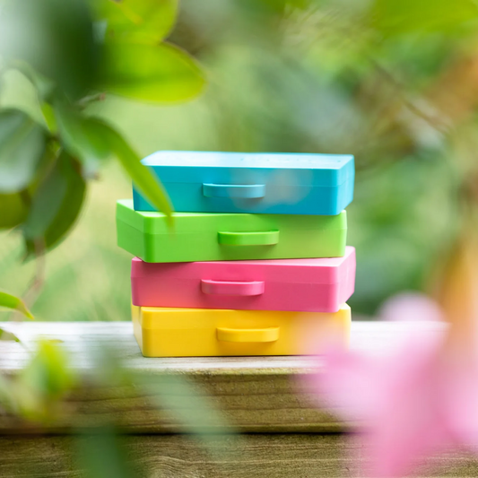 Getting Lost Adventure Card Games | Explore Australia